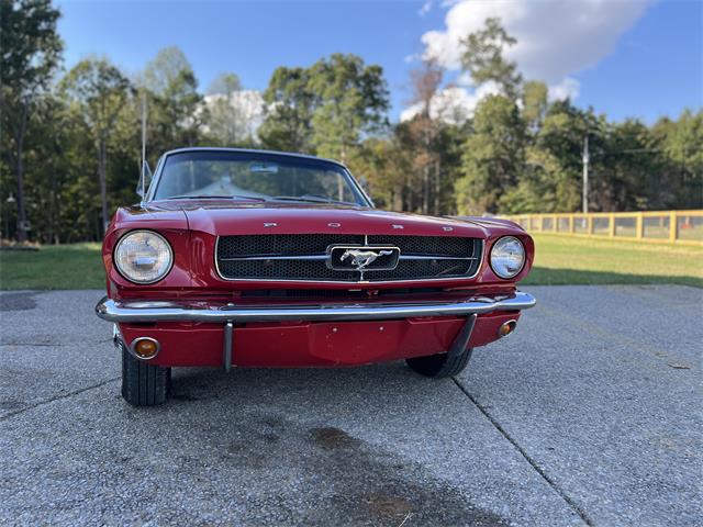 Ford Mustang 1965 - Import Direct Car Sales